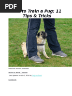 Cat FAS and Frustration Management Guide | PDF