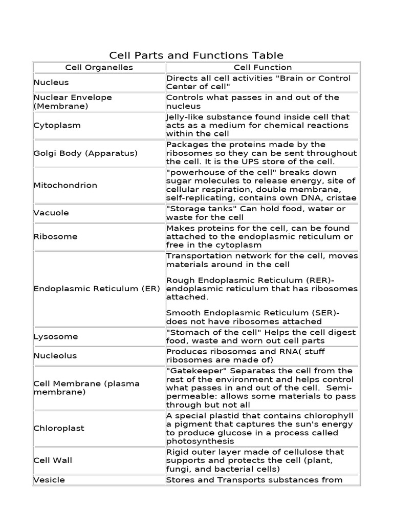 Cell Parts & Functions Table (1) (1) (2023 - 06 - 01 15 - 44 - 01 Utc ...