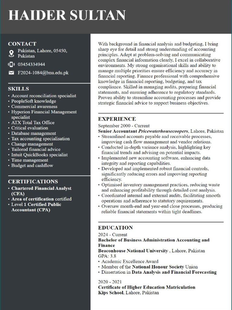 Haider Sultan Cv | PDF
