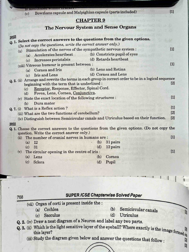 Nervous and Senseorgans | PDF | Endocrine System | Sensory Organs