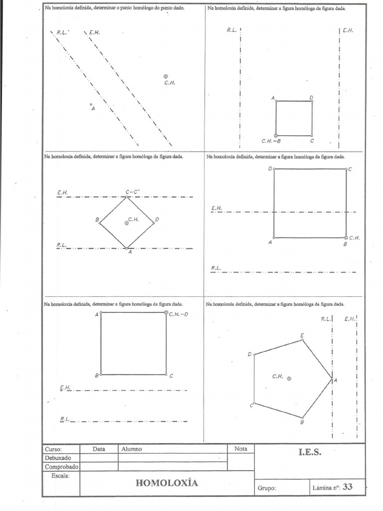 HOMOTECIA Ejercicios de Repaso Con SOLUCIONES | PDF