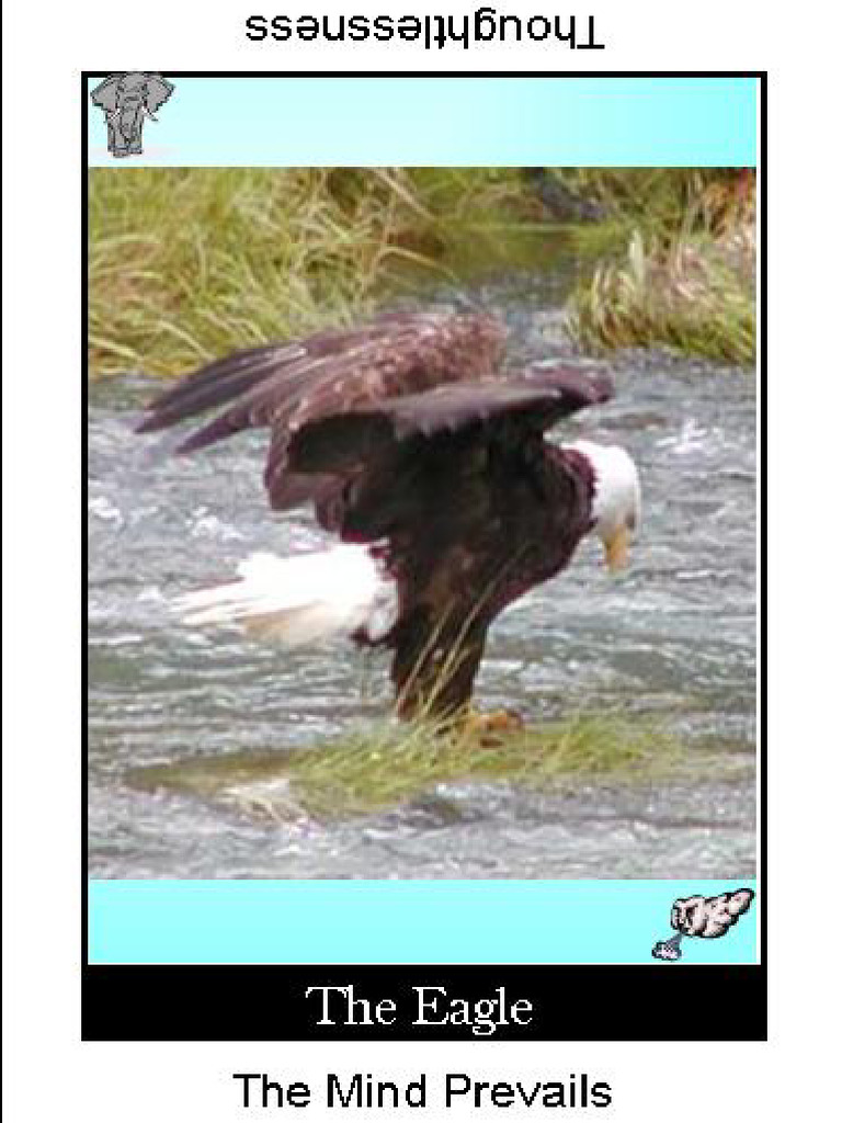 Alt Fortune Deck6 | PDF
