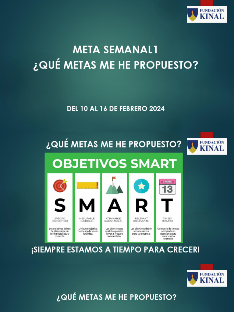 Metas Personales: Plan Semanal 2024 | PDF | Negocios