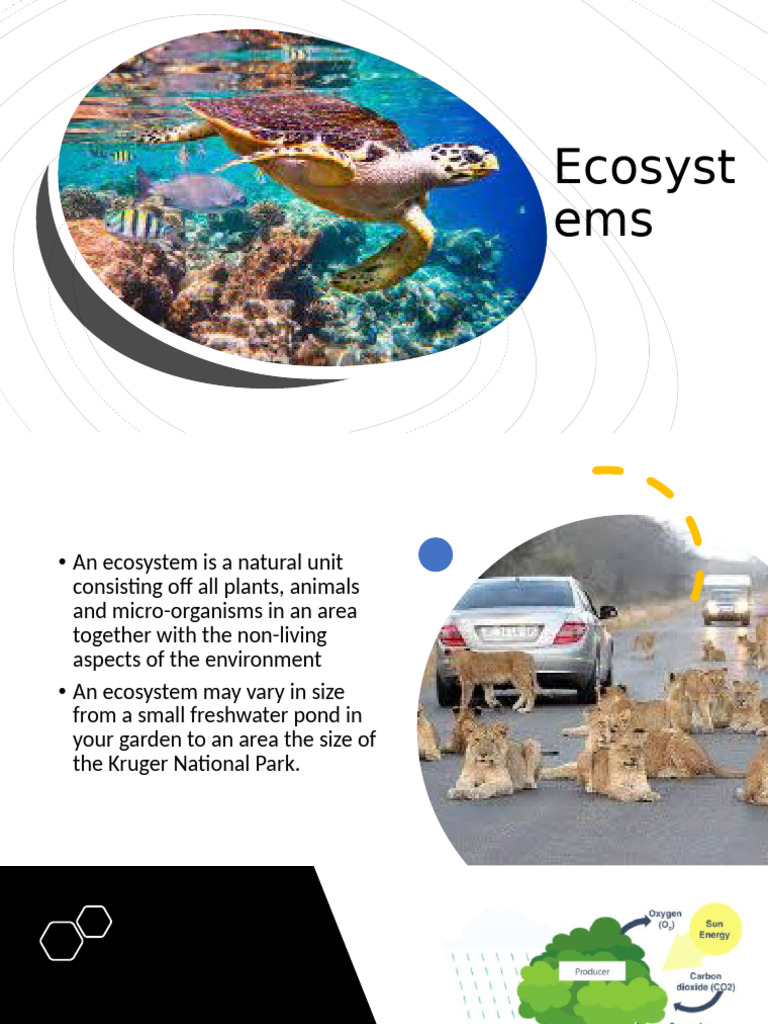 Ecosystems 1 | PDF | Soil | Ecosystem