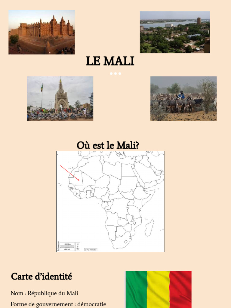 Instruments de musique du Mali | PDF | Mali | Instruments de musique