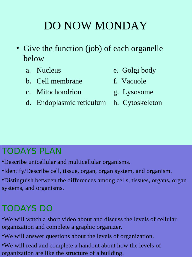 Levels of Organizationz5465 | PDF | Cell (Biology) | Tissue (Biology)