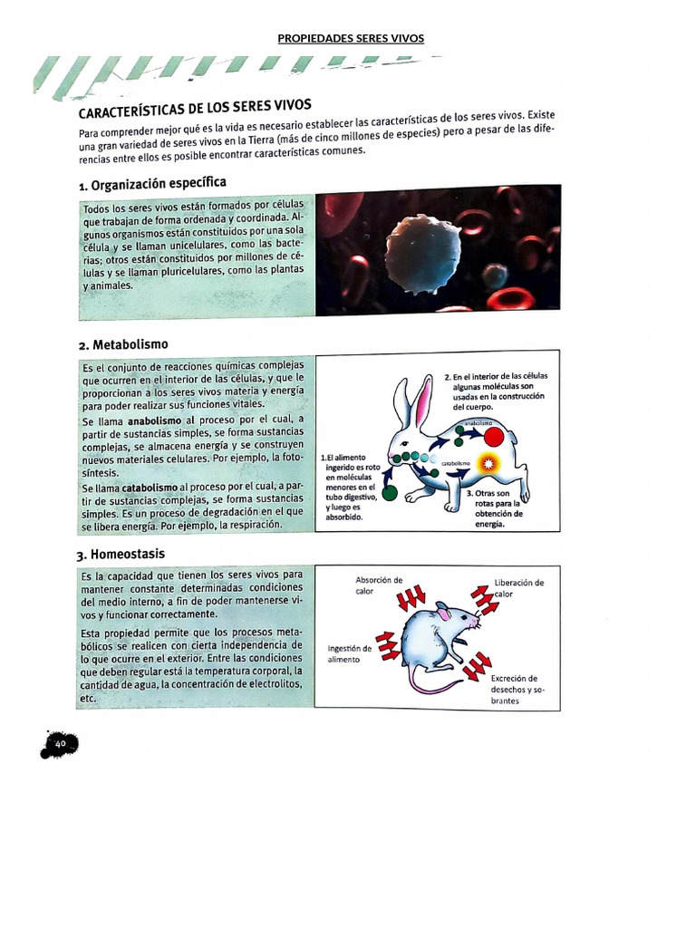 GU9 H SOyn Sppji LJCC RX1 U Gio F5 GNJ MFZG BB 9 QWGV | PDF