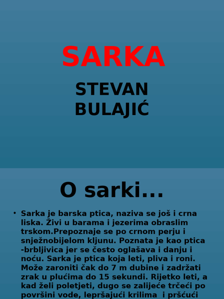 SARKA | PDF