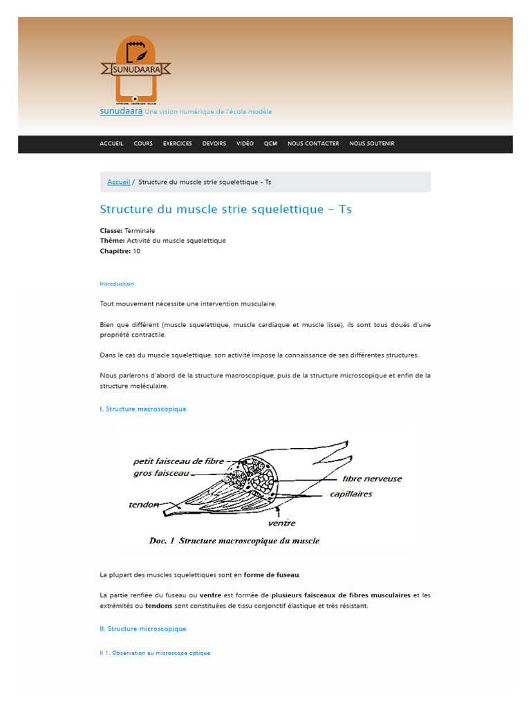 Structure Du Muscle Strie Squelettique - Ts Sunudaara | PDF | Muscle | Muscle squelettique