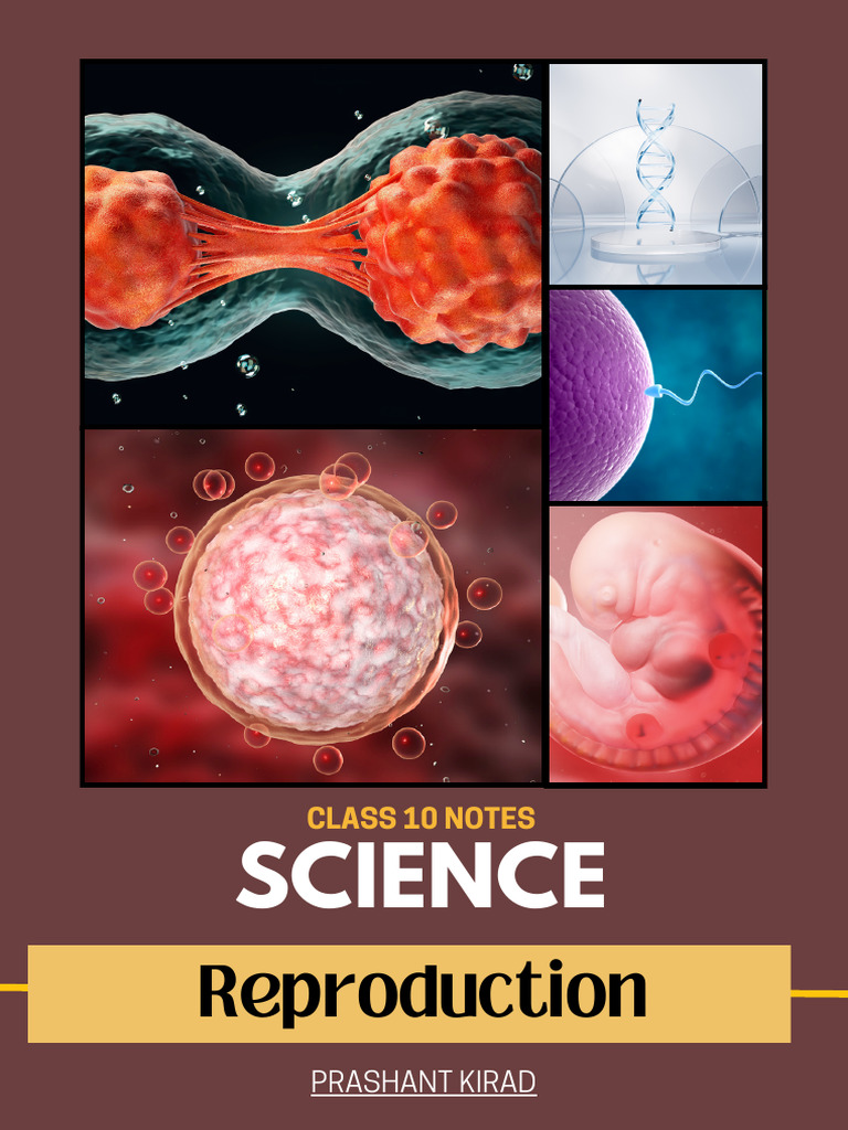 Reproduction - Short Notes (Prashant Kirad) | PDF | Human Reproduction ...
