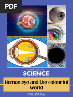 Class 10 Science: Our Environment Notes | PDF | Ecosystem | Food Web