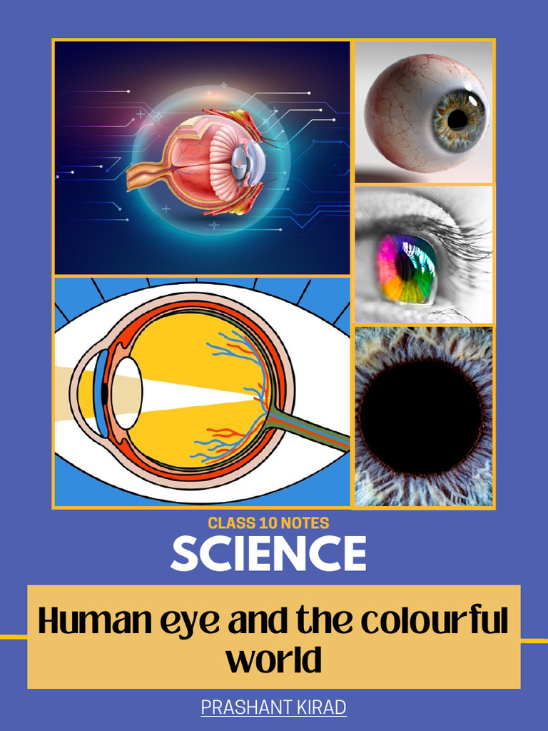 Human Eye and The Colorful World - Short Notes (Prashant Kirad) | PDF ...