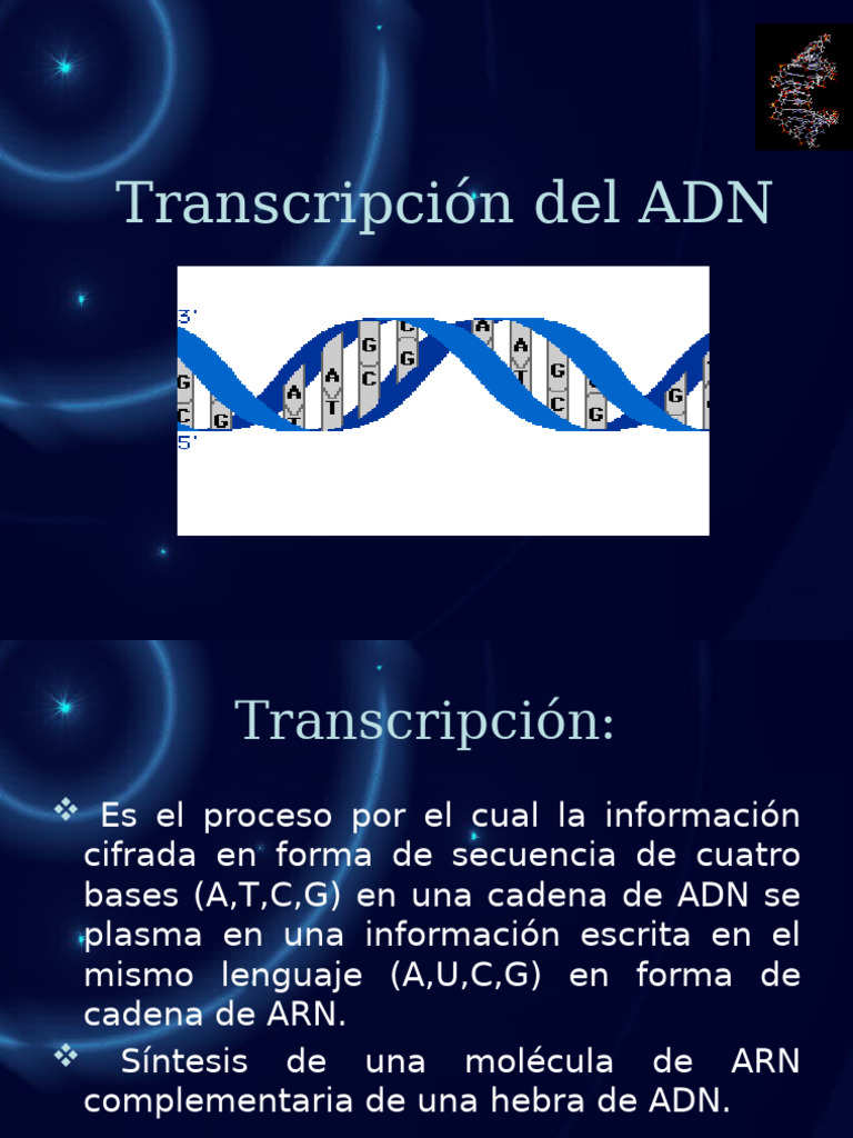 Transcripcion Diapositivas | PDF | Rna | Adn