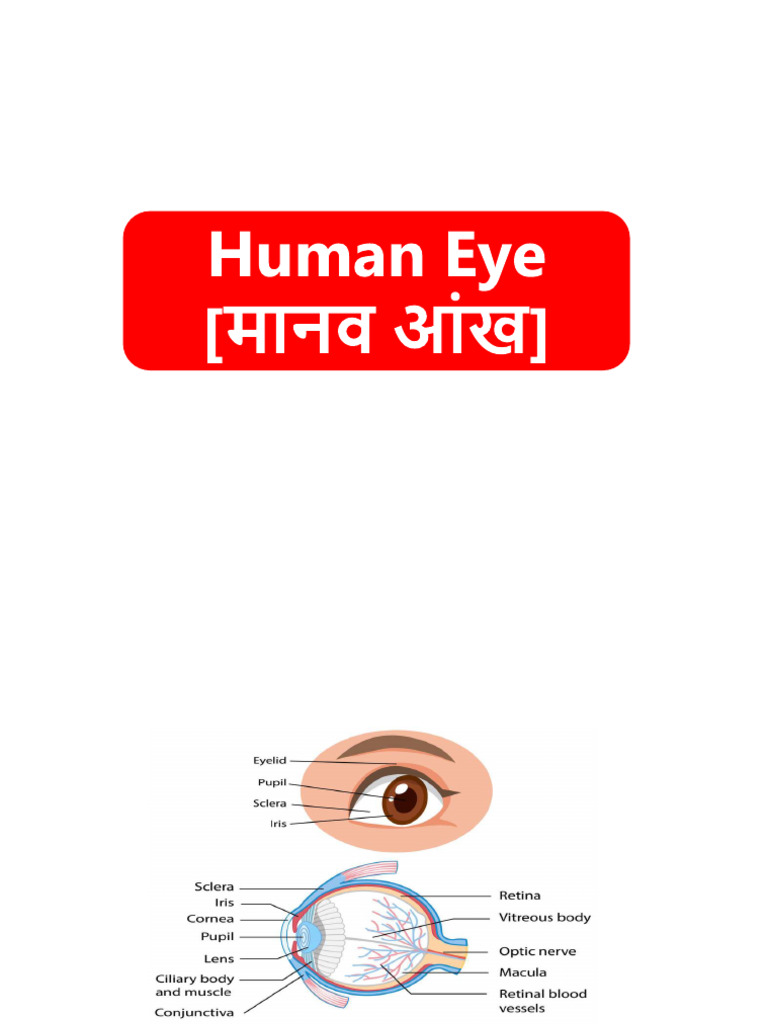 Human Eye NDA | PDF