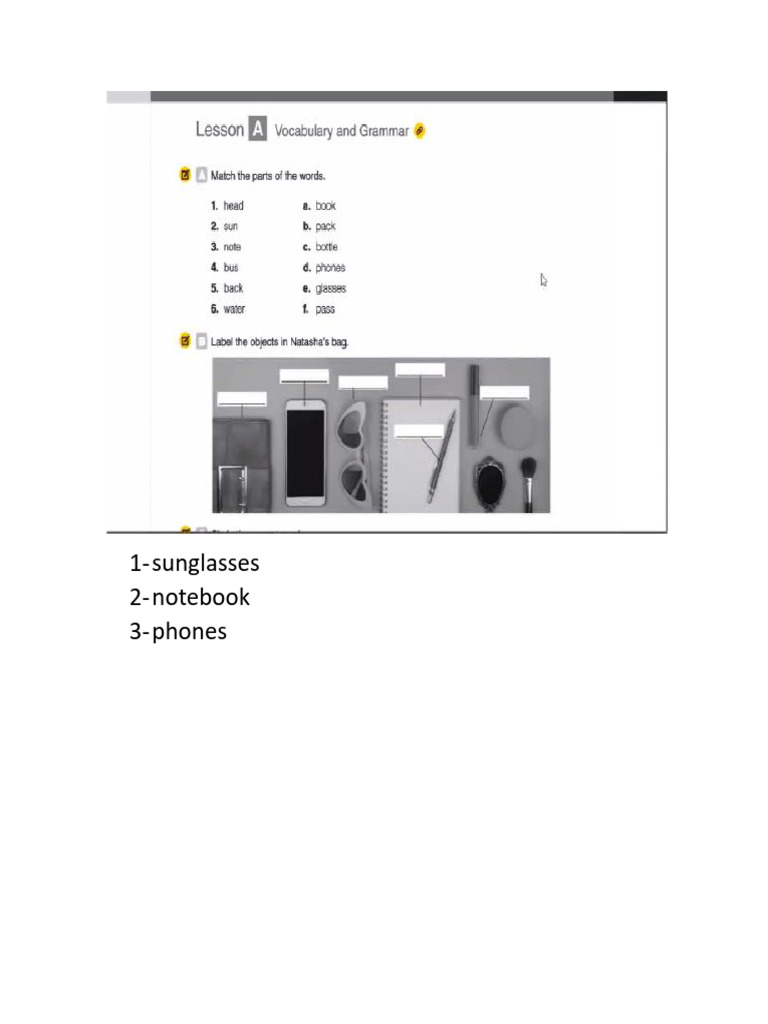 activity level 2 | PDF