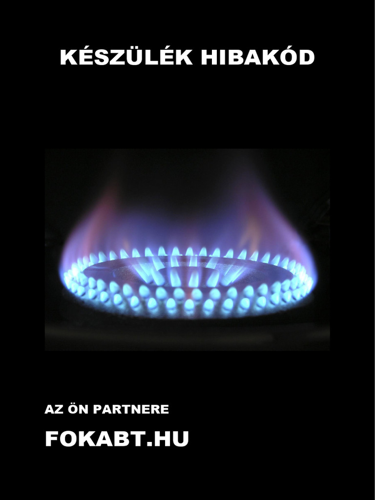 Remeha Tzerra ACE 24C - 28 - 35C - 39C Hibakodok | PDF