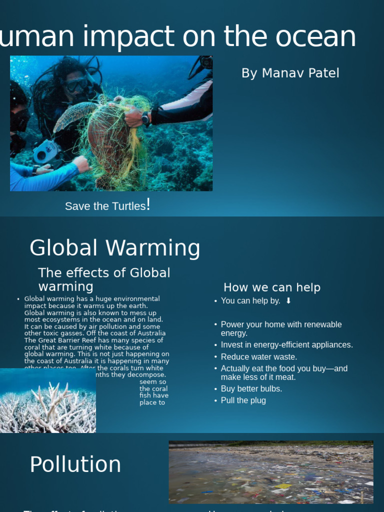 Human Impact On The Ocean | PDF | Overfishing | Pollution