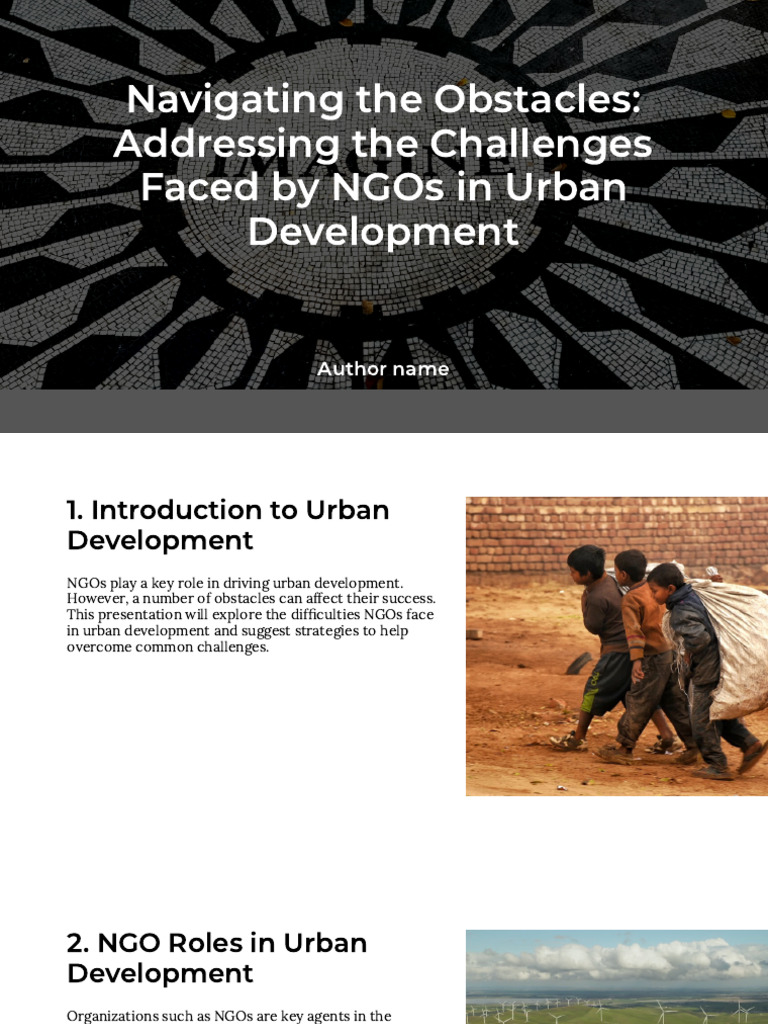 Navigating the Obstacles Addressing the Challenges Faced by Ng Os in ...