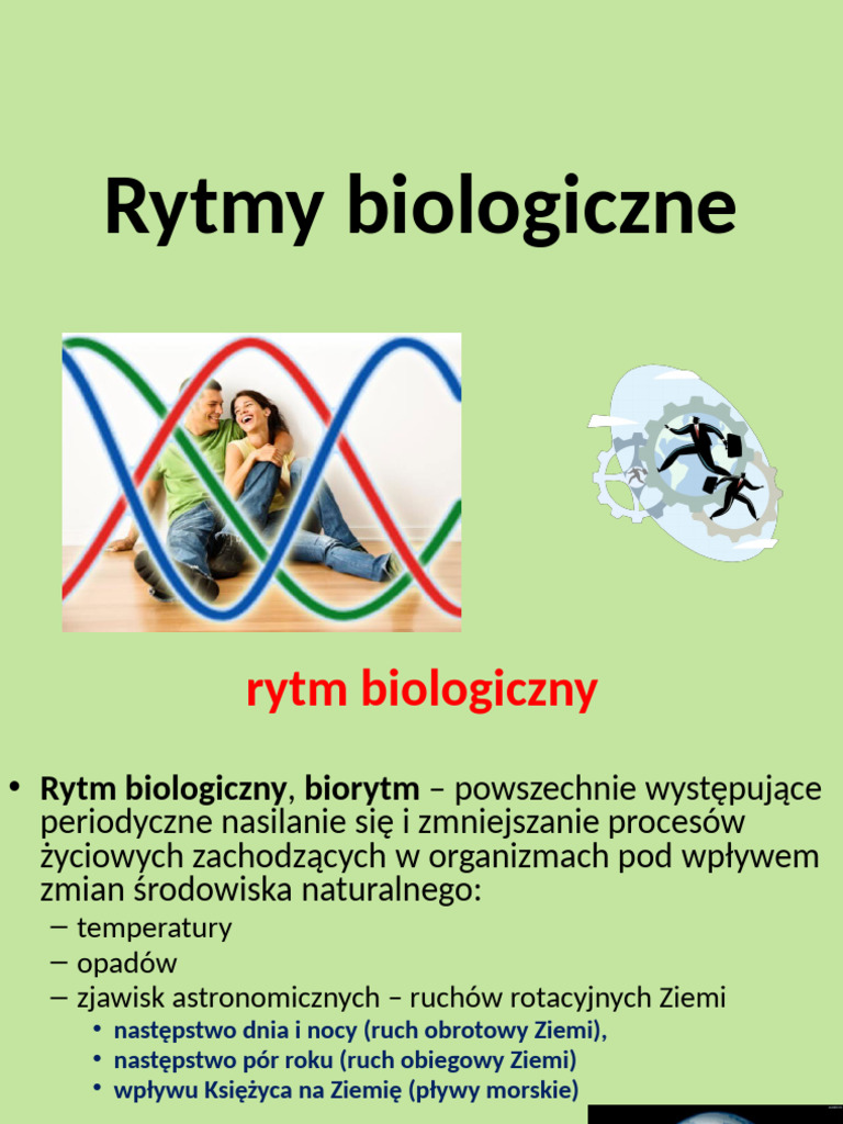 Lecture 4 - Biological Rhythms | PDF