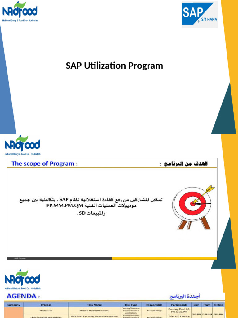 SAP Utilization Program | PDF