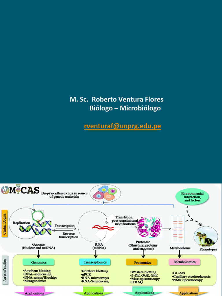 13. PROTEOMICA 2024 | PDF | Plásmido | ADN recombinante
