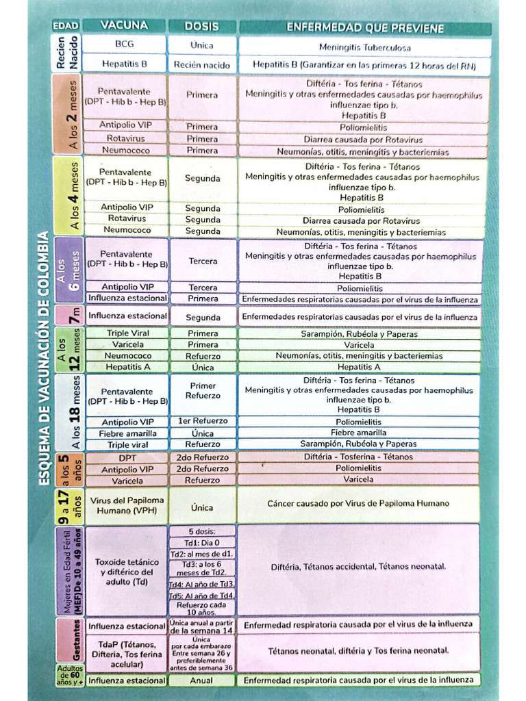 Resumen Esquema Pai 2024 | PDF