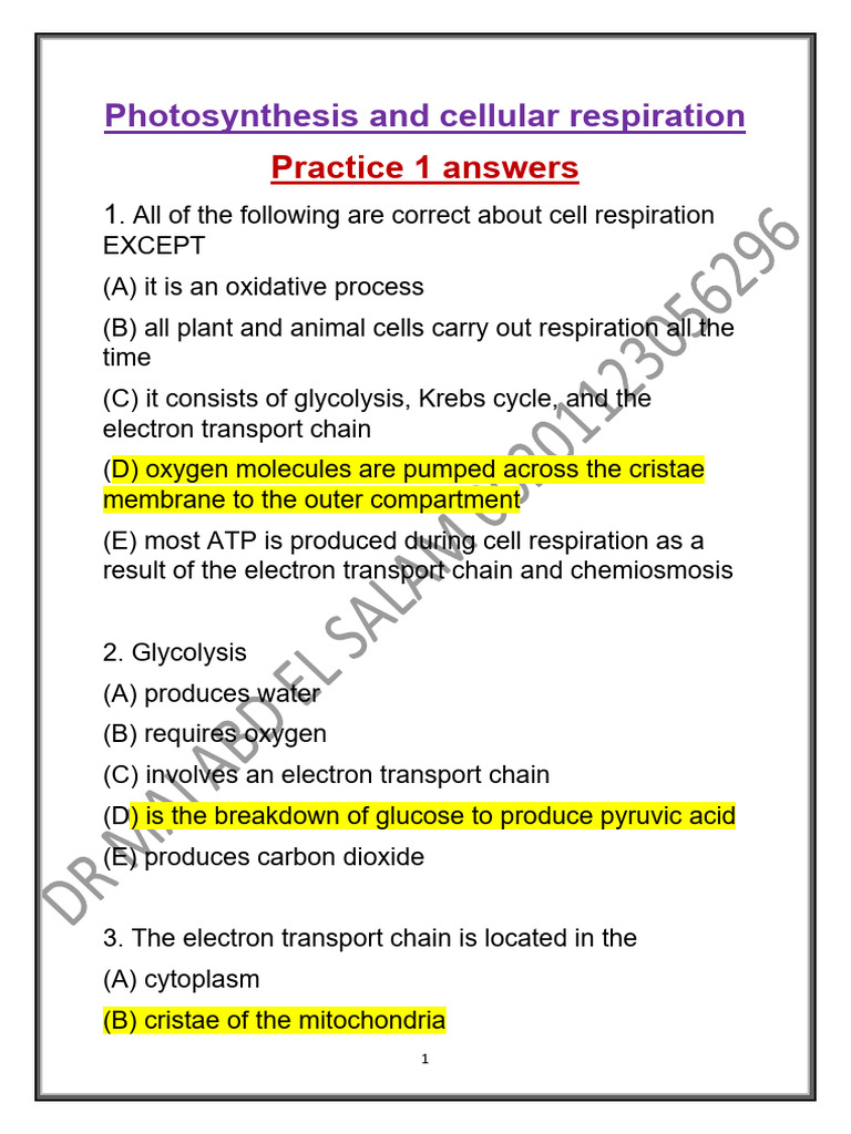 Photosynthesis and Cellular Respiration Practice1 ANSWERS | PDF ...