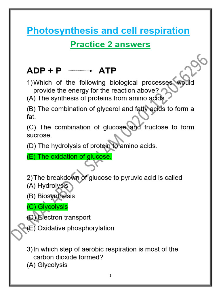 Photosynthesis and Cell Respiration Practice2 ANSWERS | PDF | Cellular ...