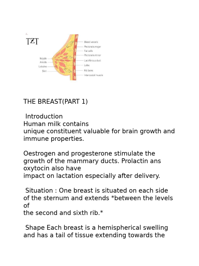 BREAST | PDF | Finance & Money Management | Wellness