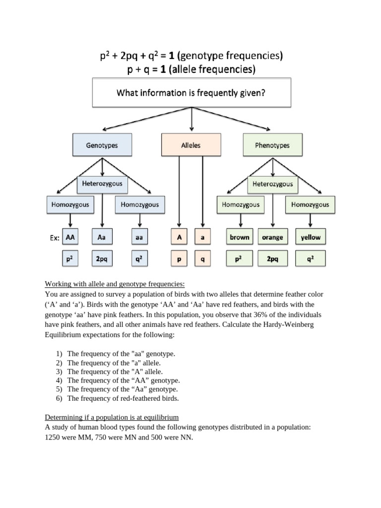 HW Practice Problems - v2 | PDF | Teaching Methods & Materials | Wellness