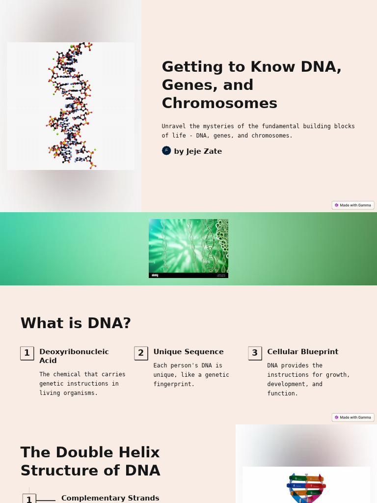 Understanding DNA, Genes, and Chromosomes | PDF | Genetics | Dna