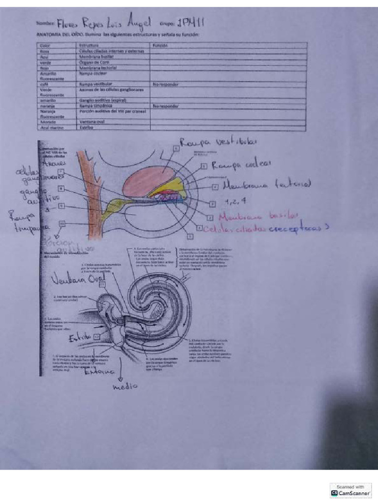 Esquemas FRLA-comprimido | PDF