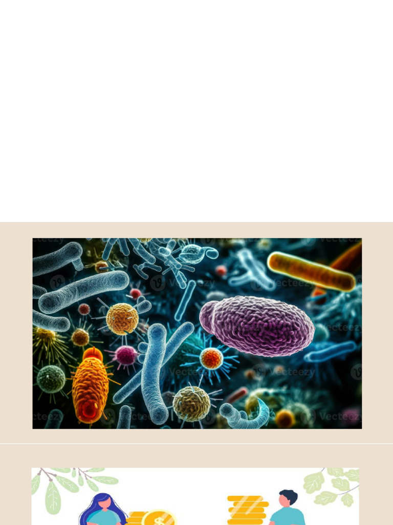 Representing Real-Life Situations Using Exponential Functions | PDF ...