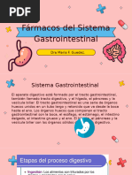 Prospecto DIGERIL | PDF