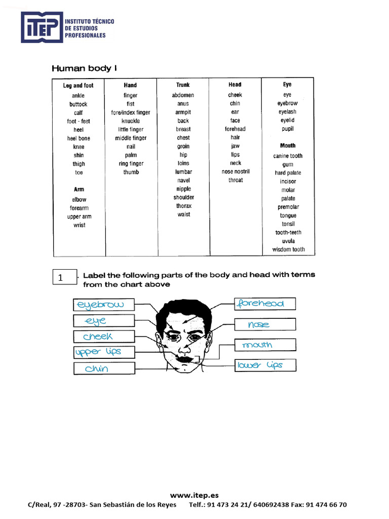 FIRST AID VOCABULARY | PDF