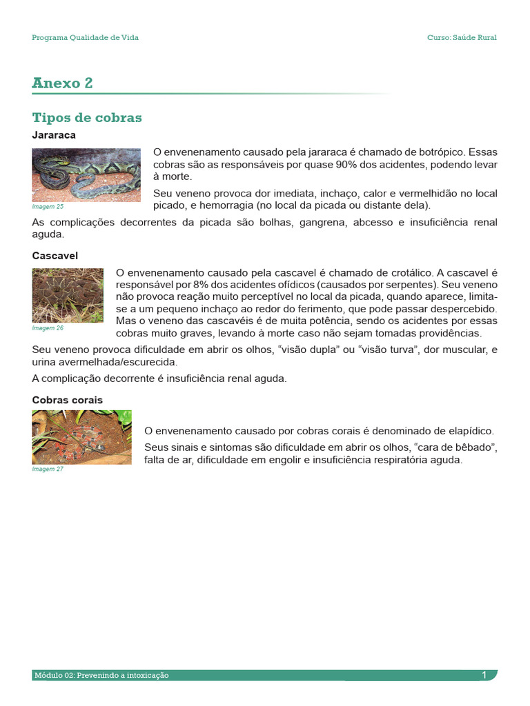 Tipos de Cobras | PDF