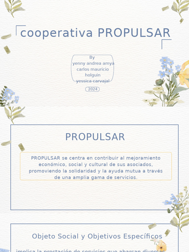 PROPULSAR | PDF | Cooperativa | Business