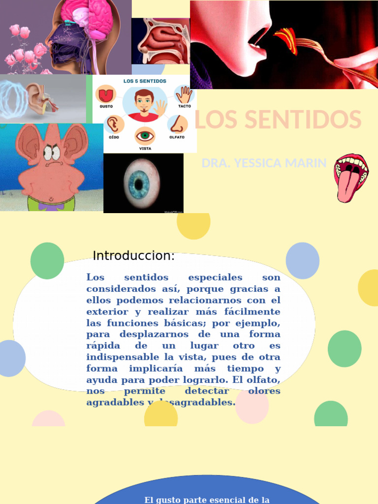 Los Sentidos | PDF | Escuchando | Sentidos