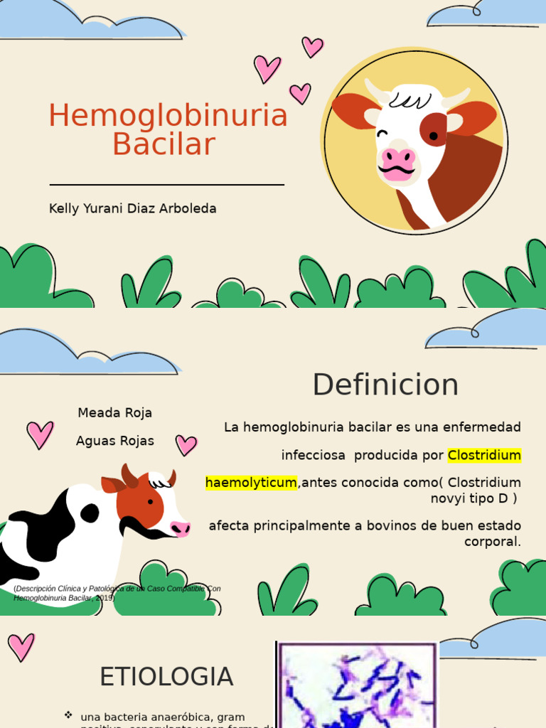 Hemoglobinuria Bacilar | PDF | Medicina CLINICA | Epidemiología