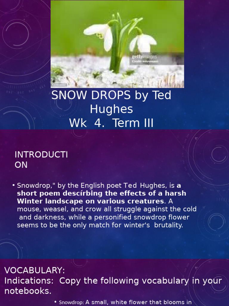 Ted Hughes Snowdrops | PDF | Poetry