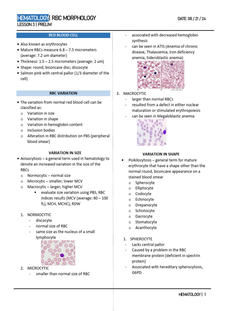 Hema RBC Variation Prelim | PDF | Anemia | Red Blood Cell
