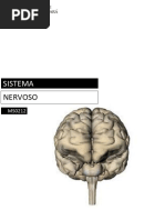 Forames do Crânio e suas Funções | PDF | Neuroanatomia | Anatomia humana