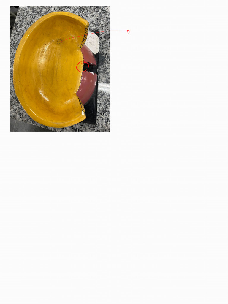 Prova Prática - Treino - 240403 - 123628 | PDF