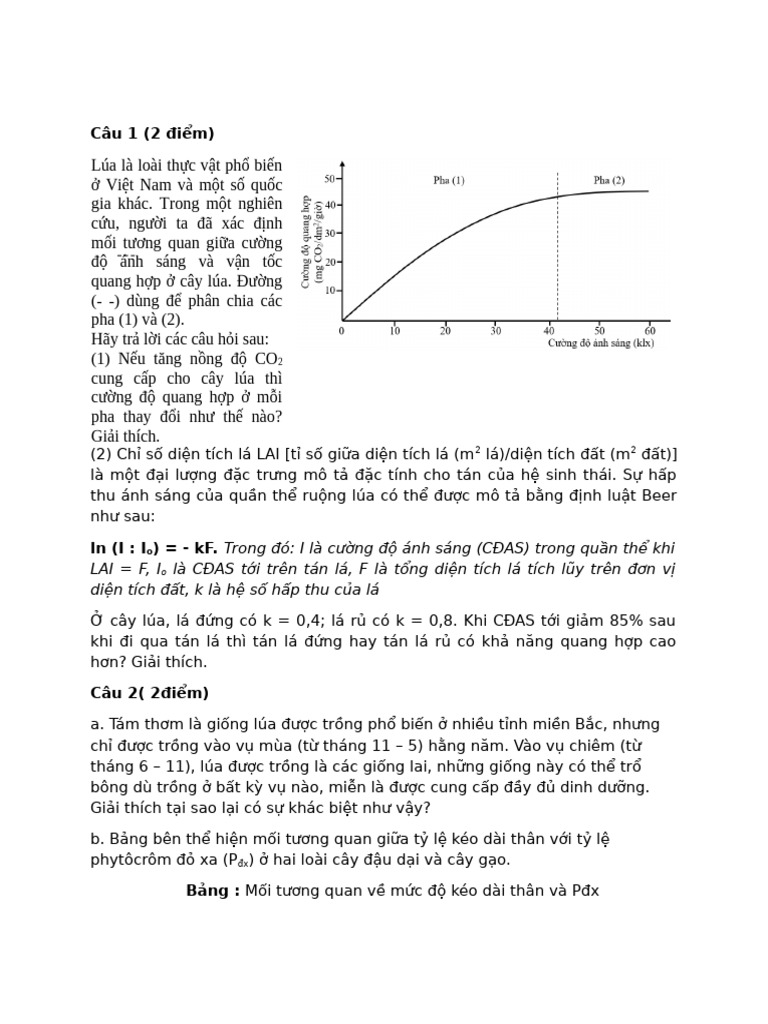 Đề đề xuất HSG 11 | PDF