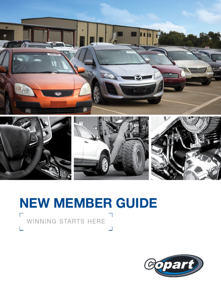 New Member Guide | PDF | Auction