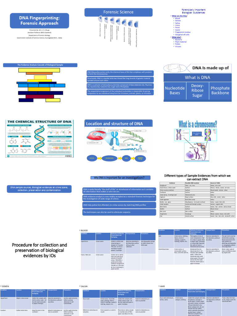 DNA Fingerprinting | PDF | Dna Profiling | Dna