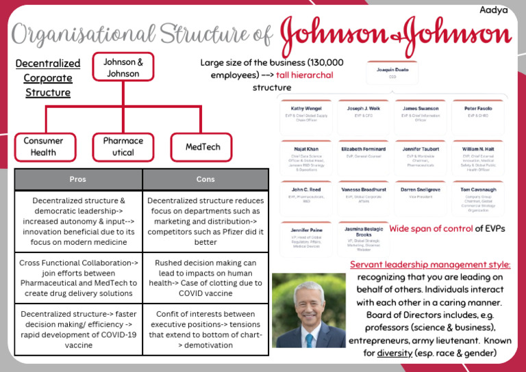Johnson&Johnson Organisational Structure | PDF