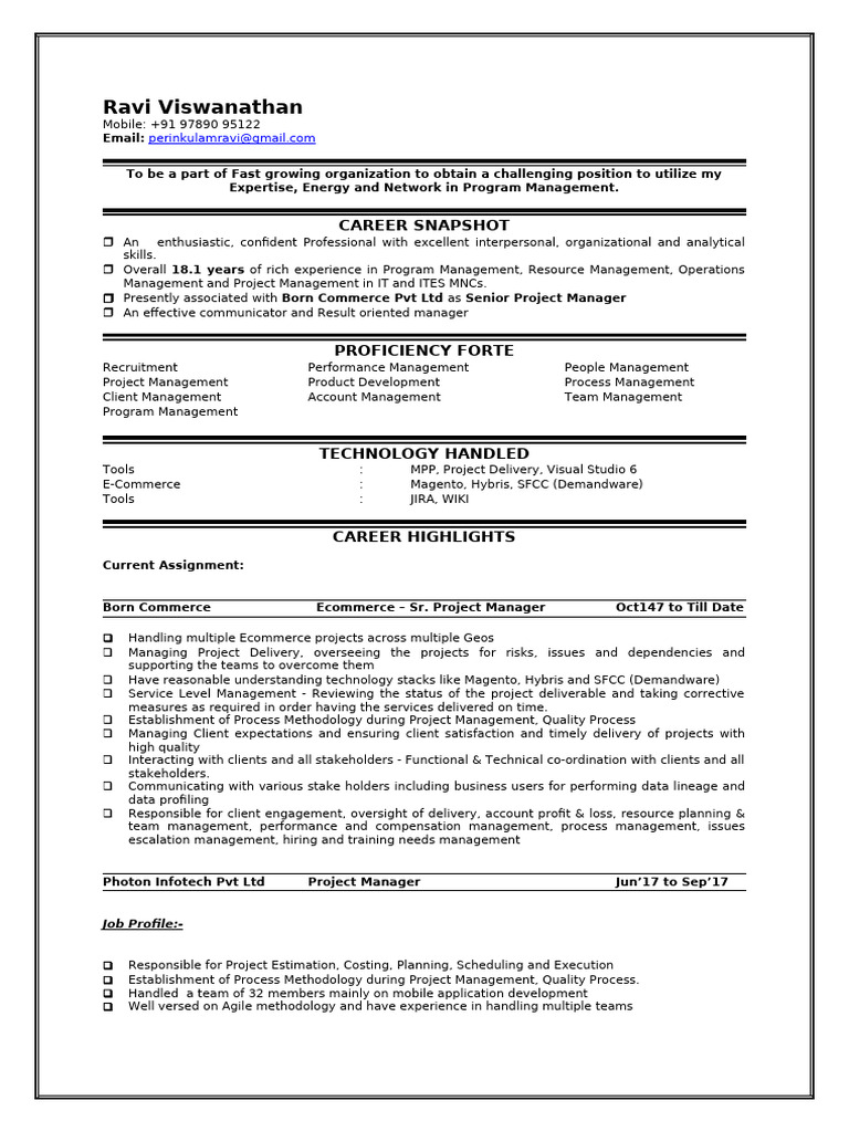 CV_Ravi_PV | PDF | Project Management | E Commerce