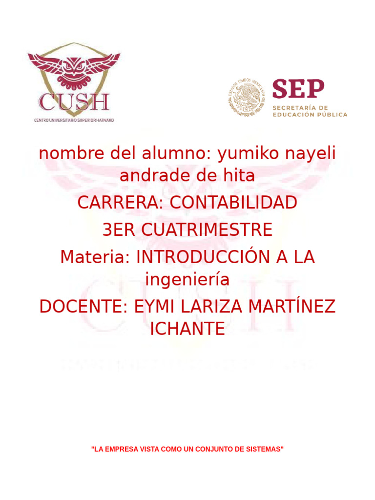 Empresa Vista Como Un Conjunto de Sistemas - Yumiko Nayeli Andrade de Hita | PDF | Calidad ...