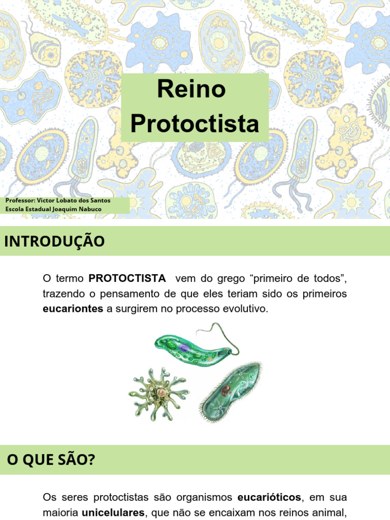 Reino Protoctista | PDF | Protozoários | Biologia
